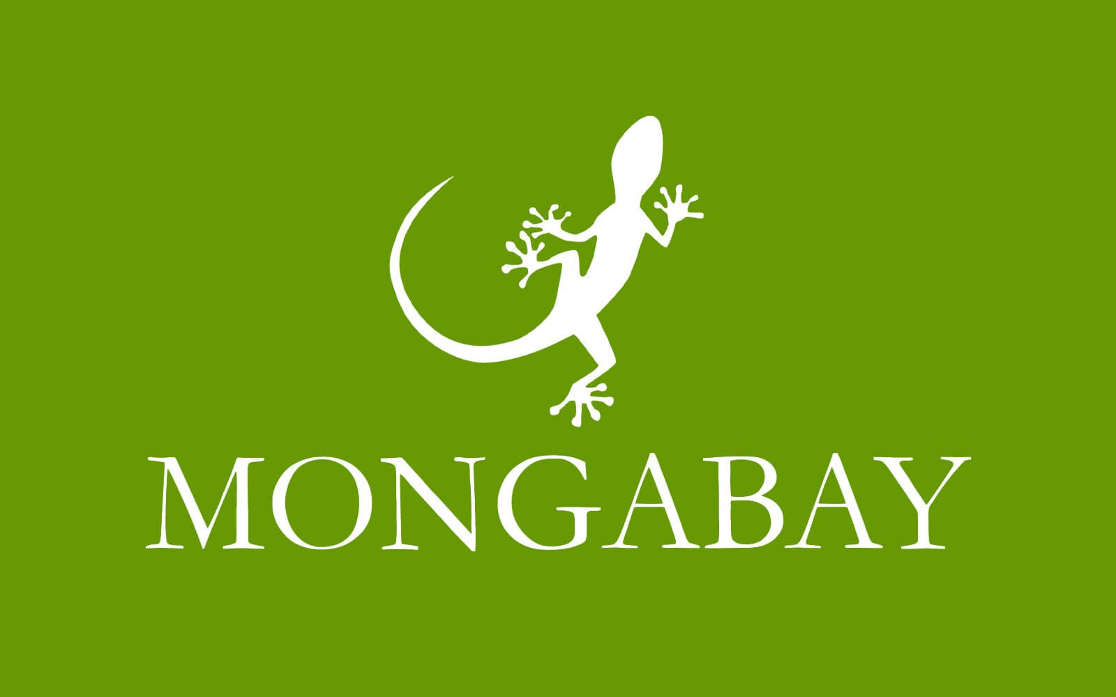 "Activism gives you hope" -Ellen Dorsey interviewed by Mongabay ...